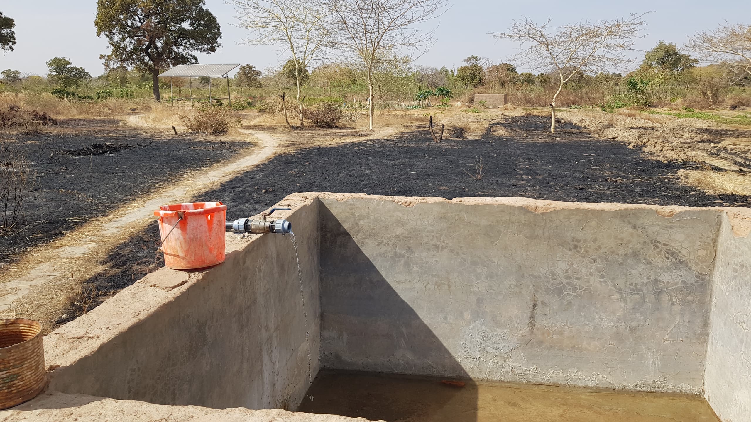 Agriculture au Nayala : Le jardin agro-écologique de Bala, à Toma ...