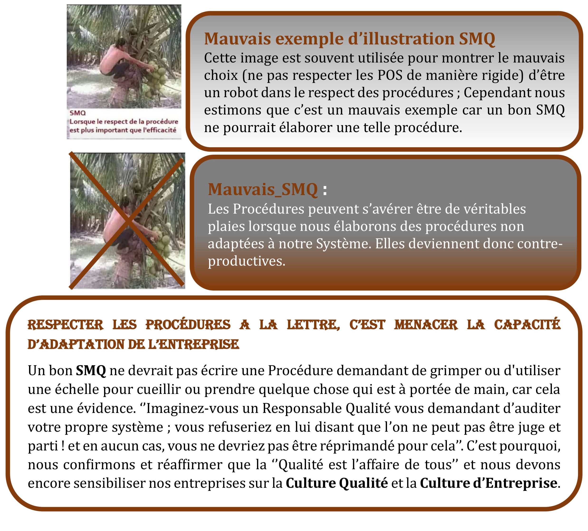 Doit-on appliquer les PROCÉDURES de manière rigide et respecter l ...